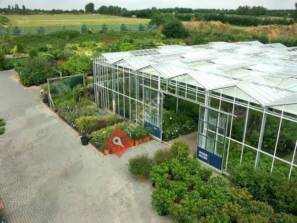 Provender Nurseries - Swanley